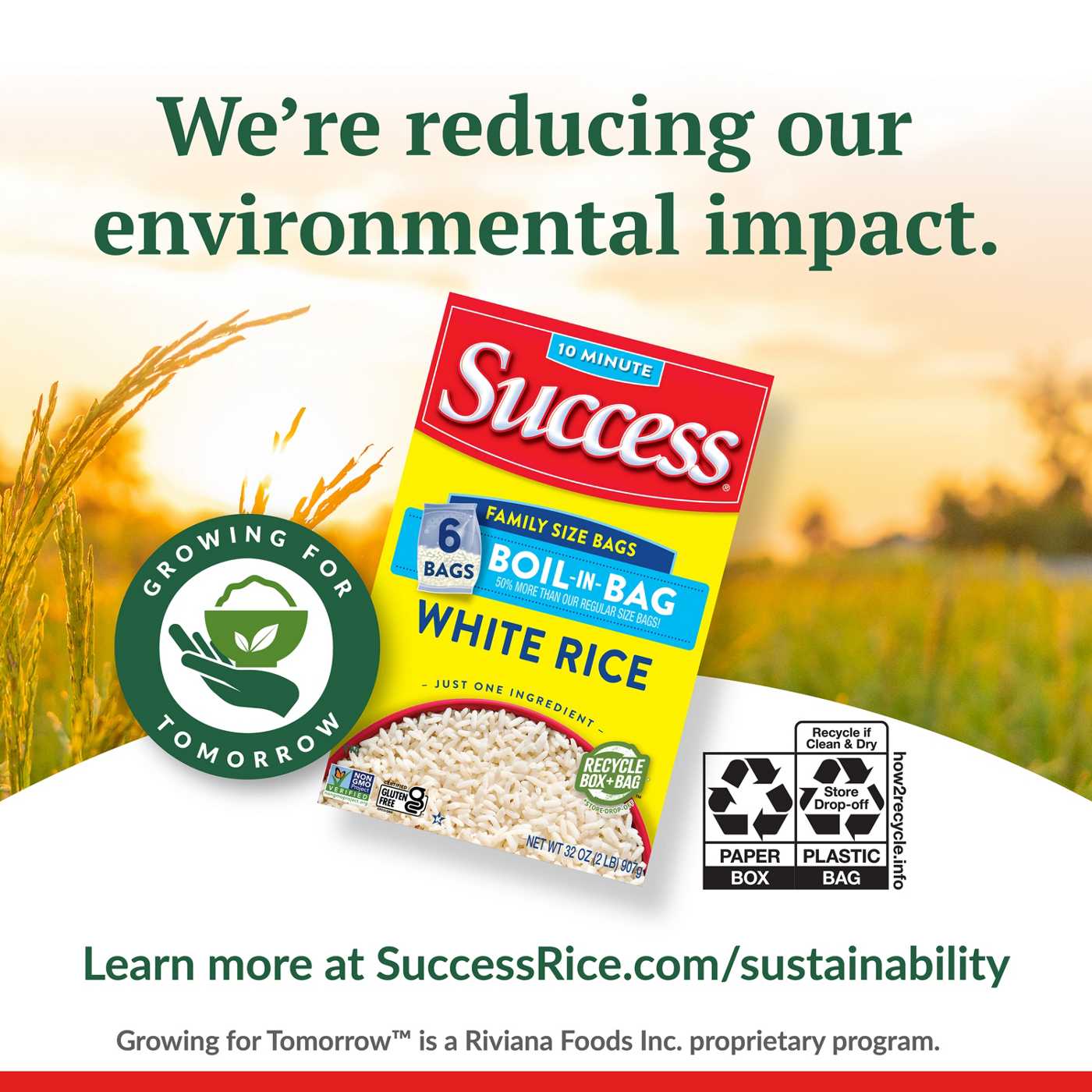 Success Boil-in-Bag White Rice Family Size Bags - Shop Rice & grains at ...