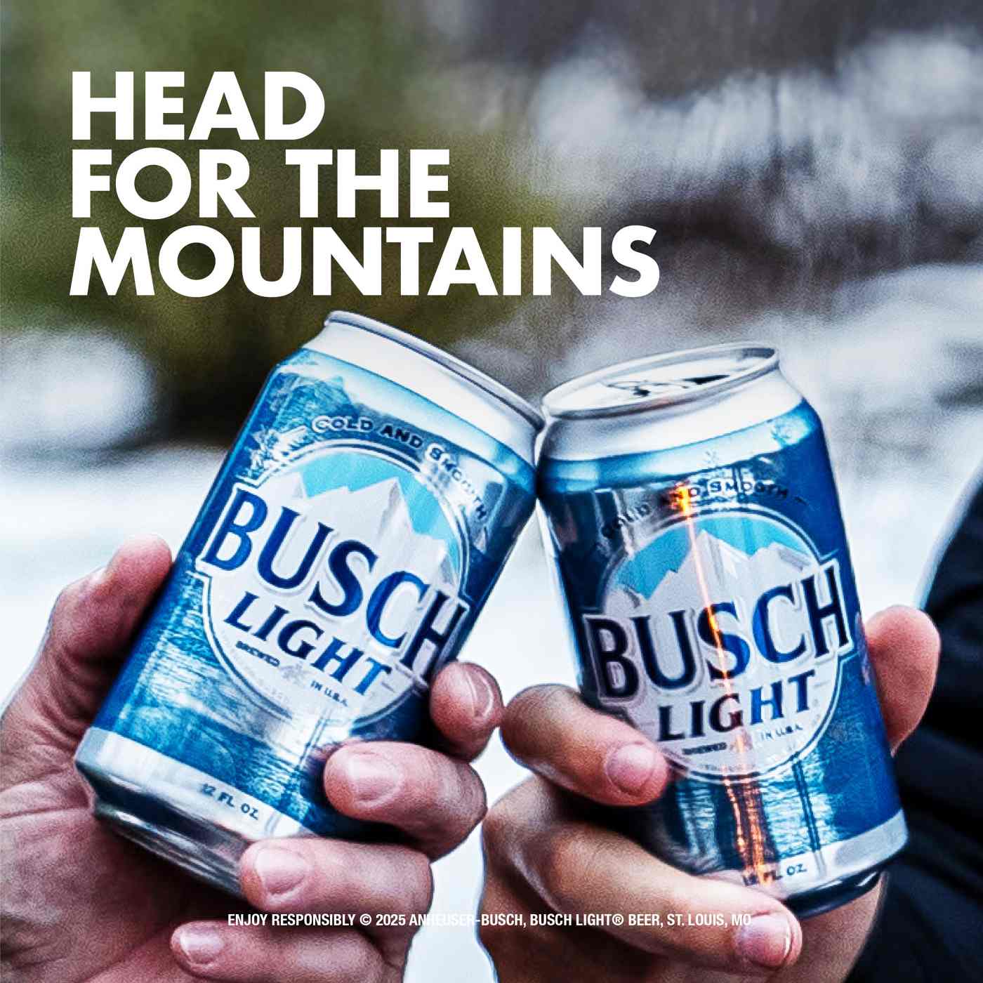 Busch Light Beer 30 pk Cans - Shop Beer at H-E-B