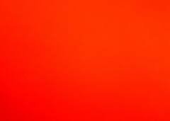 Norcom Neon Red Poster Board - Shop School & Office Supplies at H-E-B