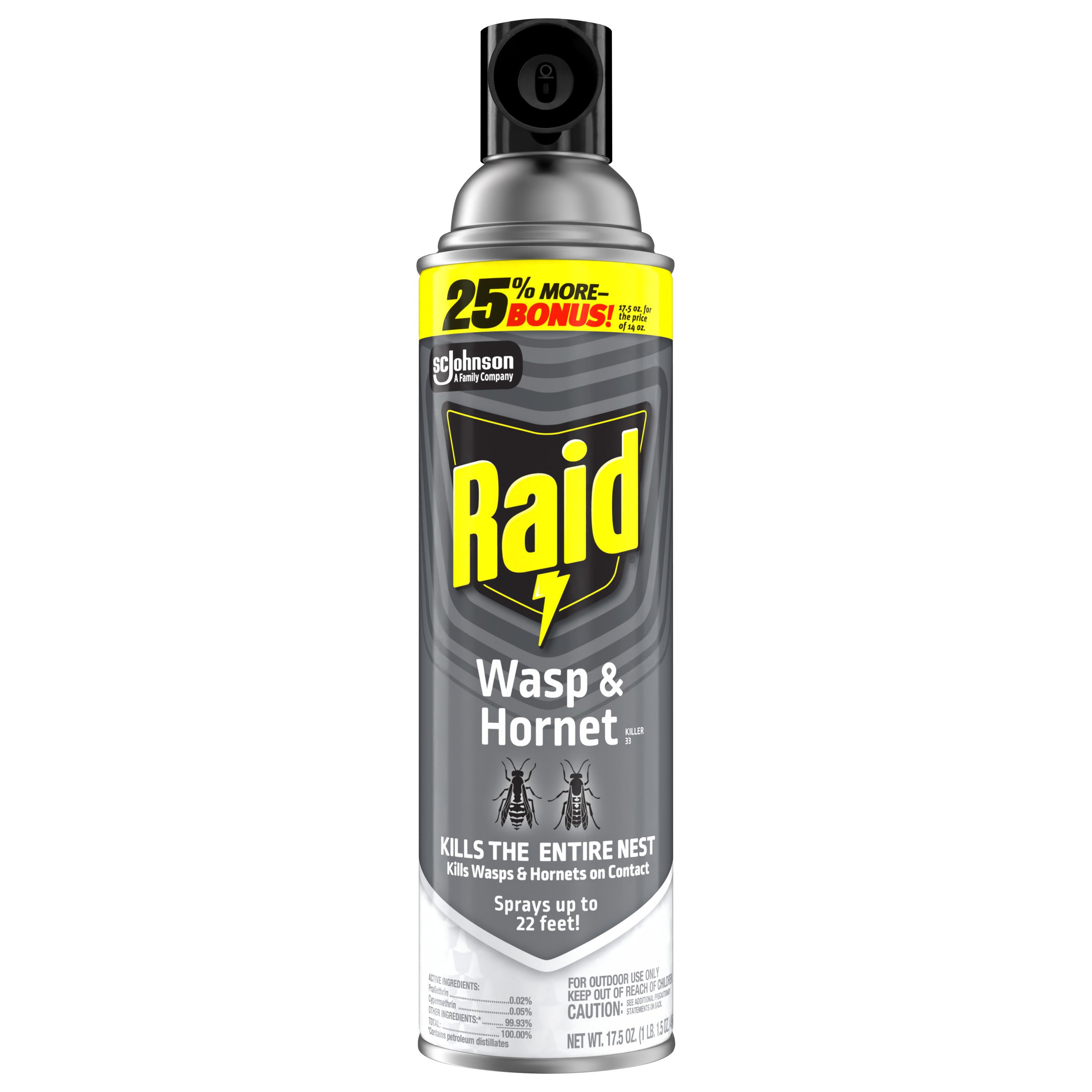 Raid Wasp And Hornet Killer Outdoor Flying Insect Spray Shop Insect