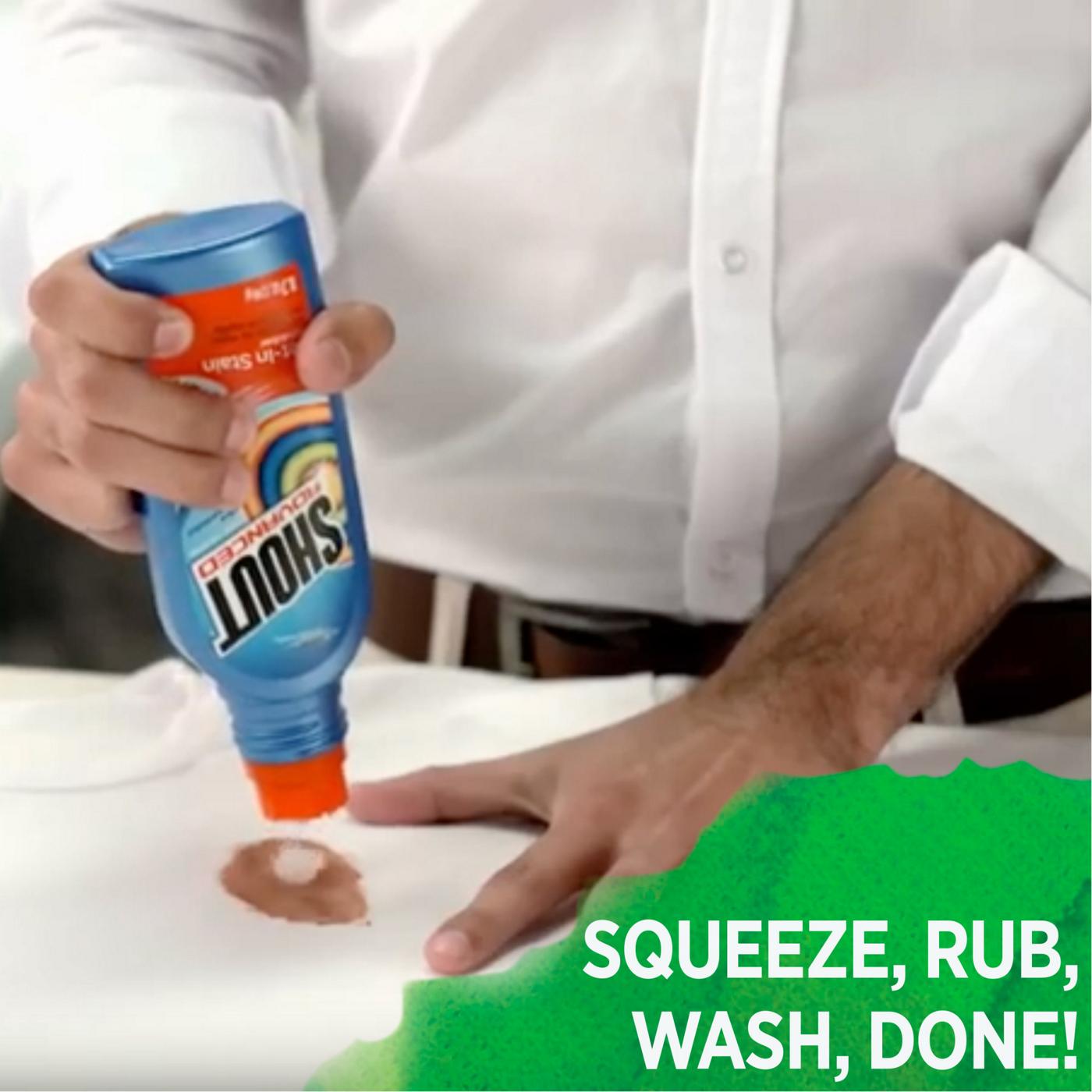 Shout Advanced Ultra Concentrated Gel Laundry Stain Remover - Shop ...