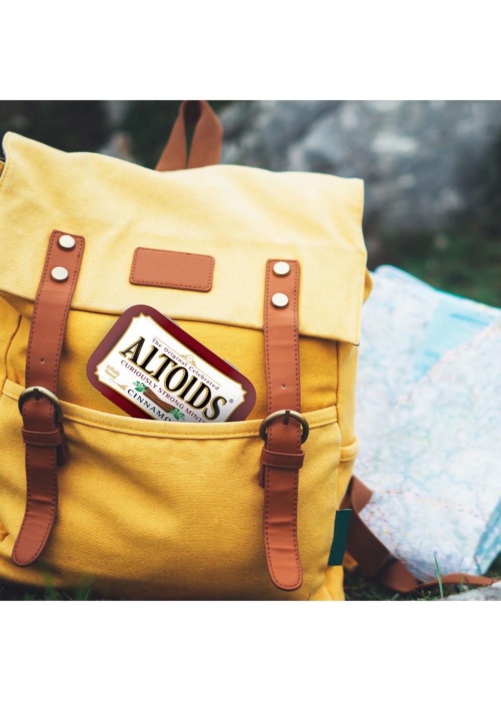 Altoids Cinnamon Breath Mints - Shop Gum & mints at H-E-B