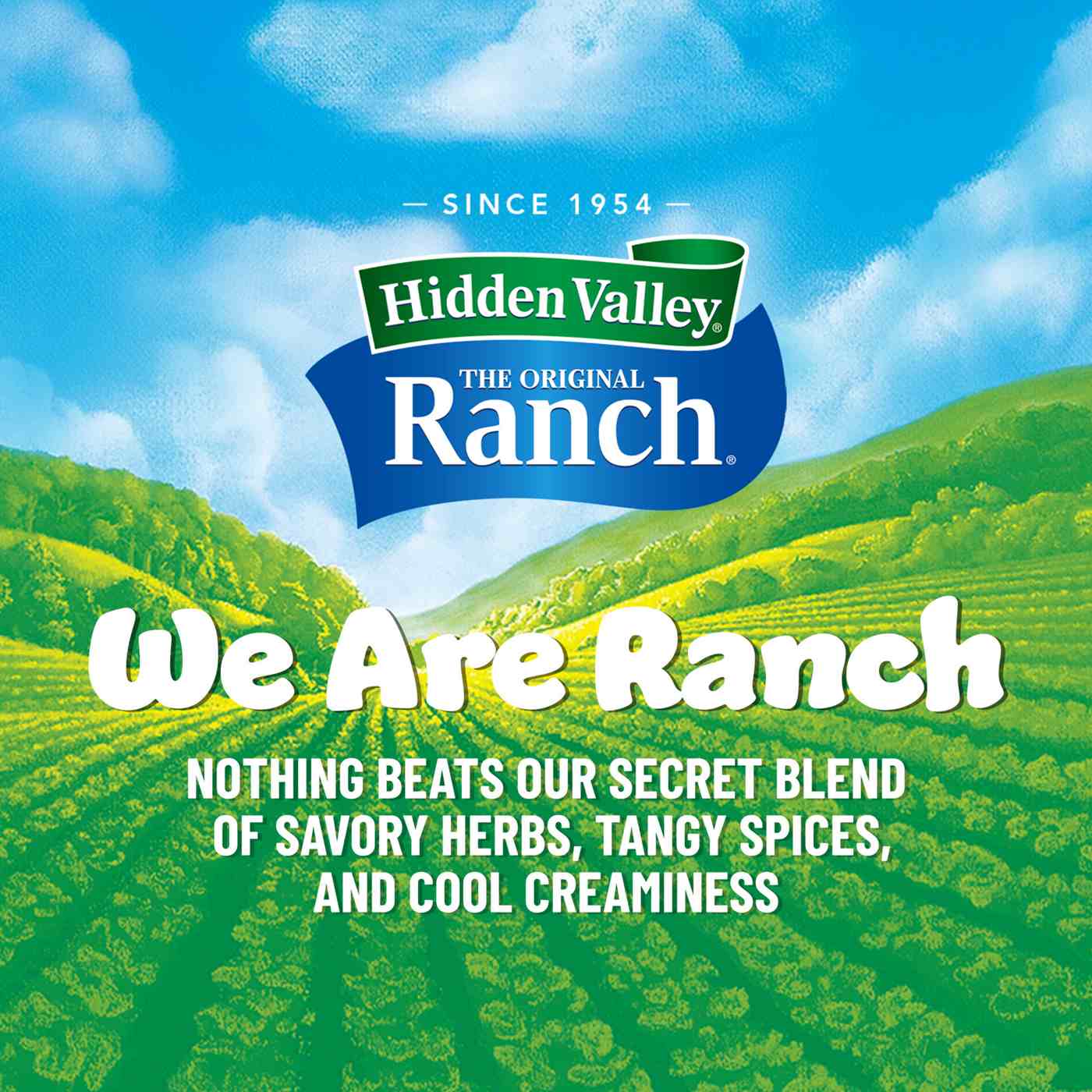 Hidden Valley Buttermilk Ranch Salad Dressing and Seasoning Mix Packet ...