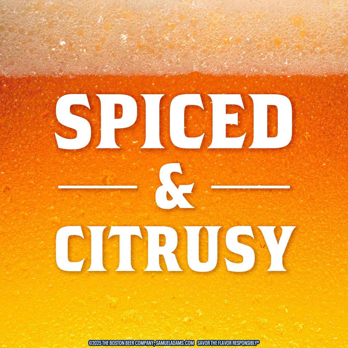 Samuel Adams Winter White Ale Beer 6 pk Bottles - Shop Beer at H-E-B