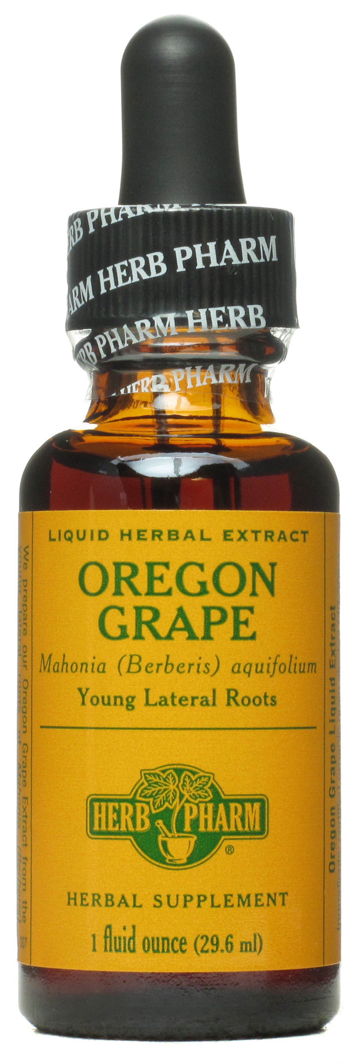 Herb Pharm Oregon Grape Extract - Shop Herbs & homeopathy at H-E-B