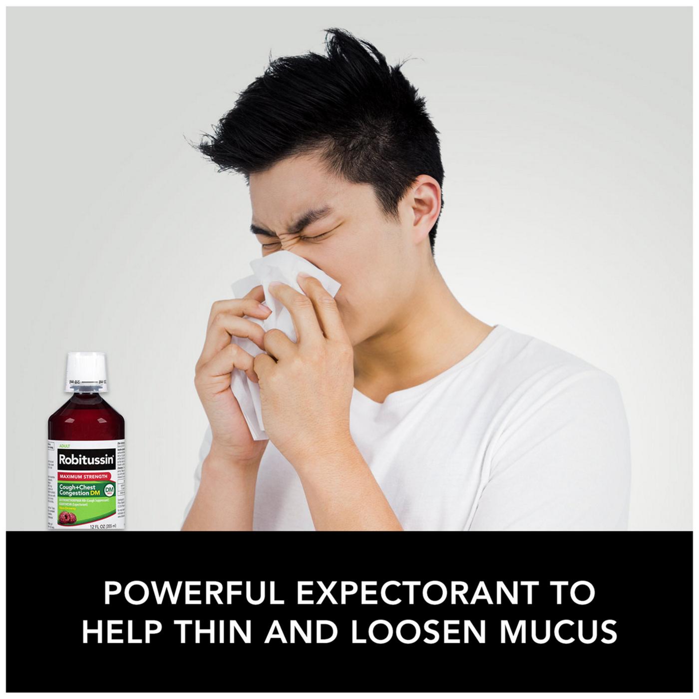 Robitussin Adult Cough + Chest Congestion DM Relief Liquid - Shop Cough ...