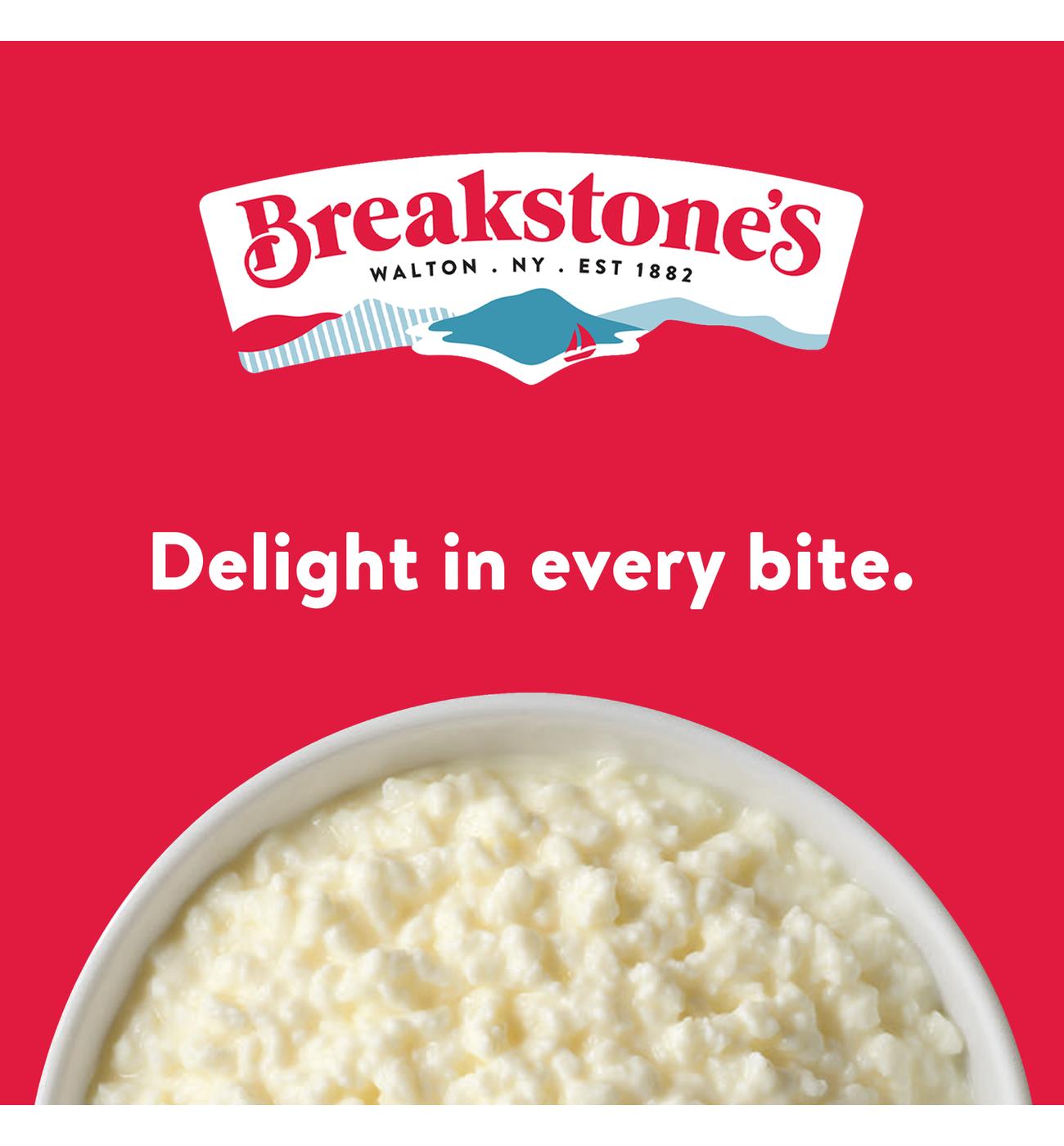 Breakstone's Cottage Doubles 2% Milkfat Lowfat Pineapple Cottage Cheese ...