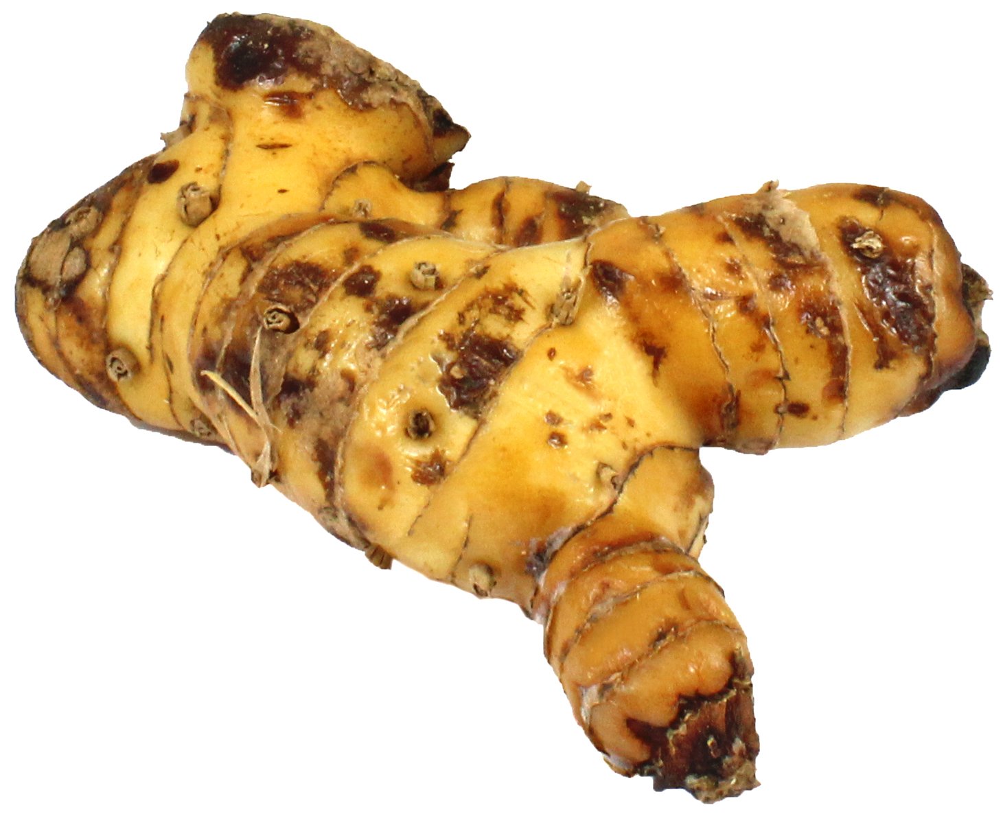 Fresh Galangal Root - Shop Fruit at H-E-B