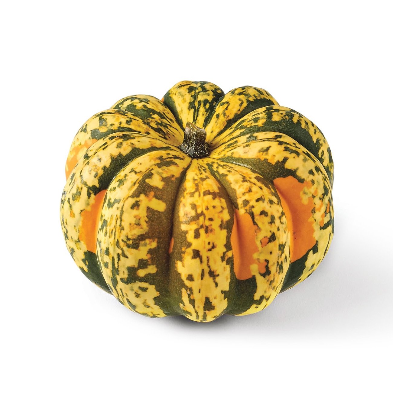 Fresh Carnival Squash - Shop Squash & pumpkins at H-E-B