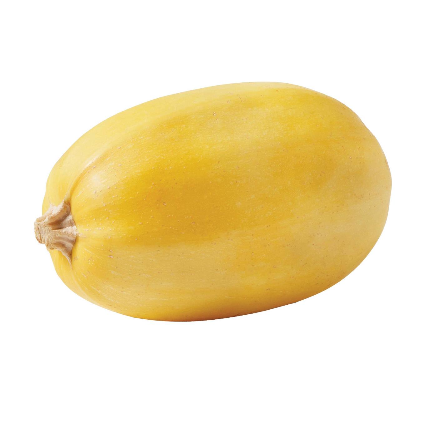 Fresh Spaghetti Squash - Shop Squash & pumpkins at H-E-B