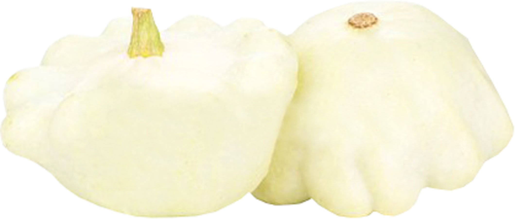 Fresh White Squash - Shop Squash & Pumpkins at H-E-B