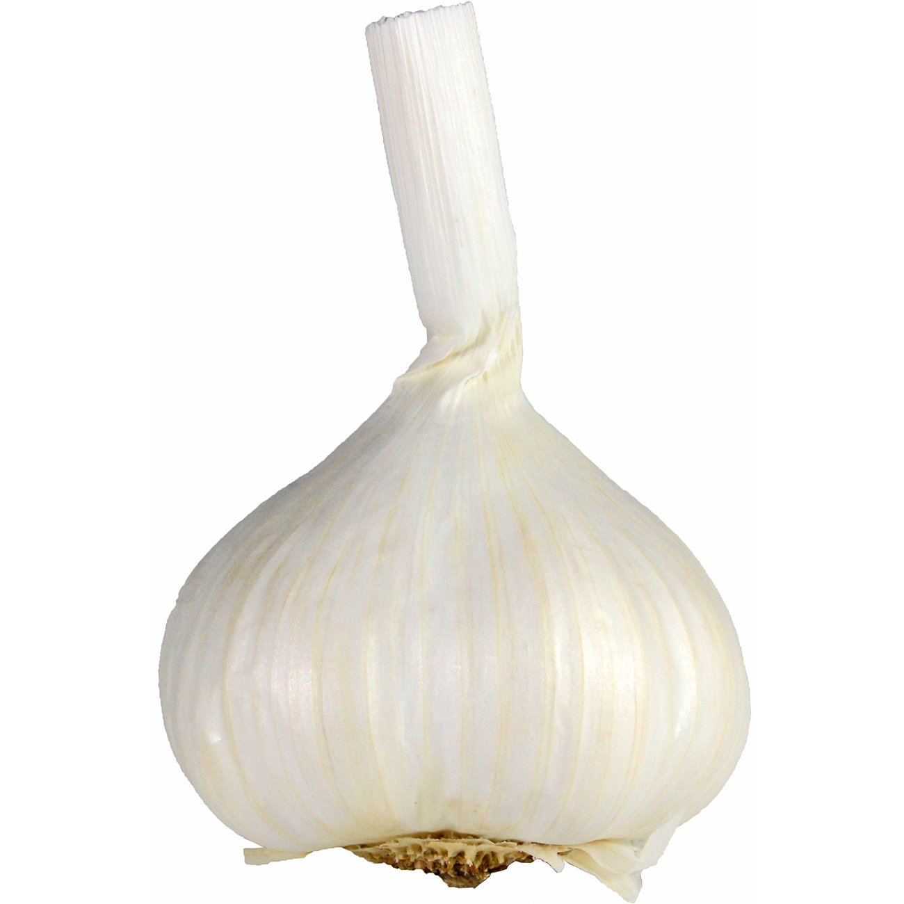 Fresh Colossal Garlic, Each | Low Prices & Quality Groceries - Joe V's