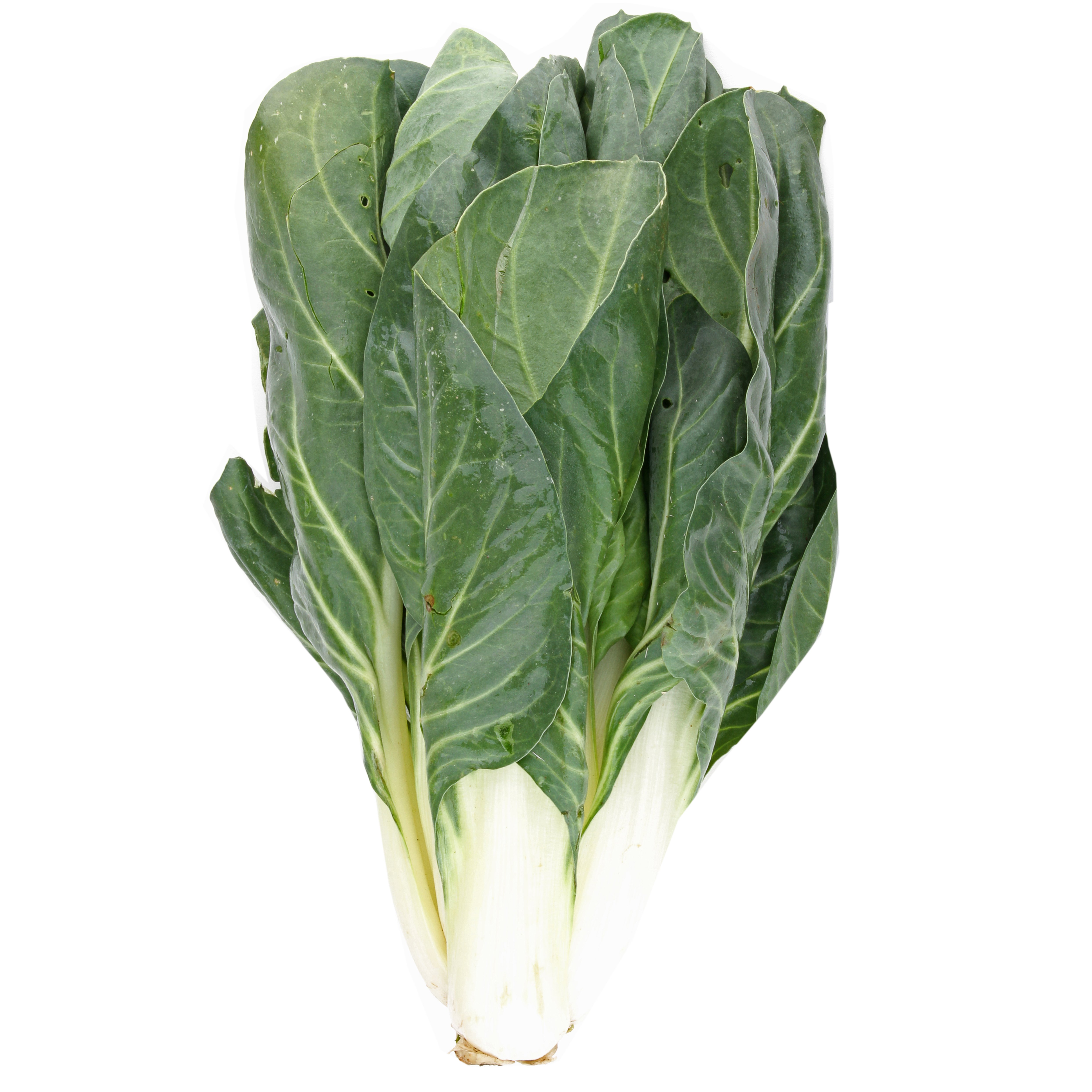 Fresh Green Swiss Chard - Shop Vegetables at H-E-B