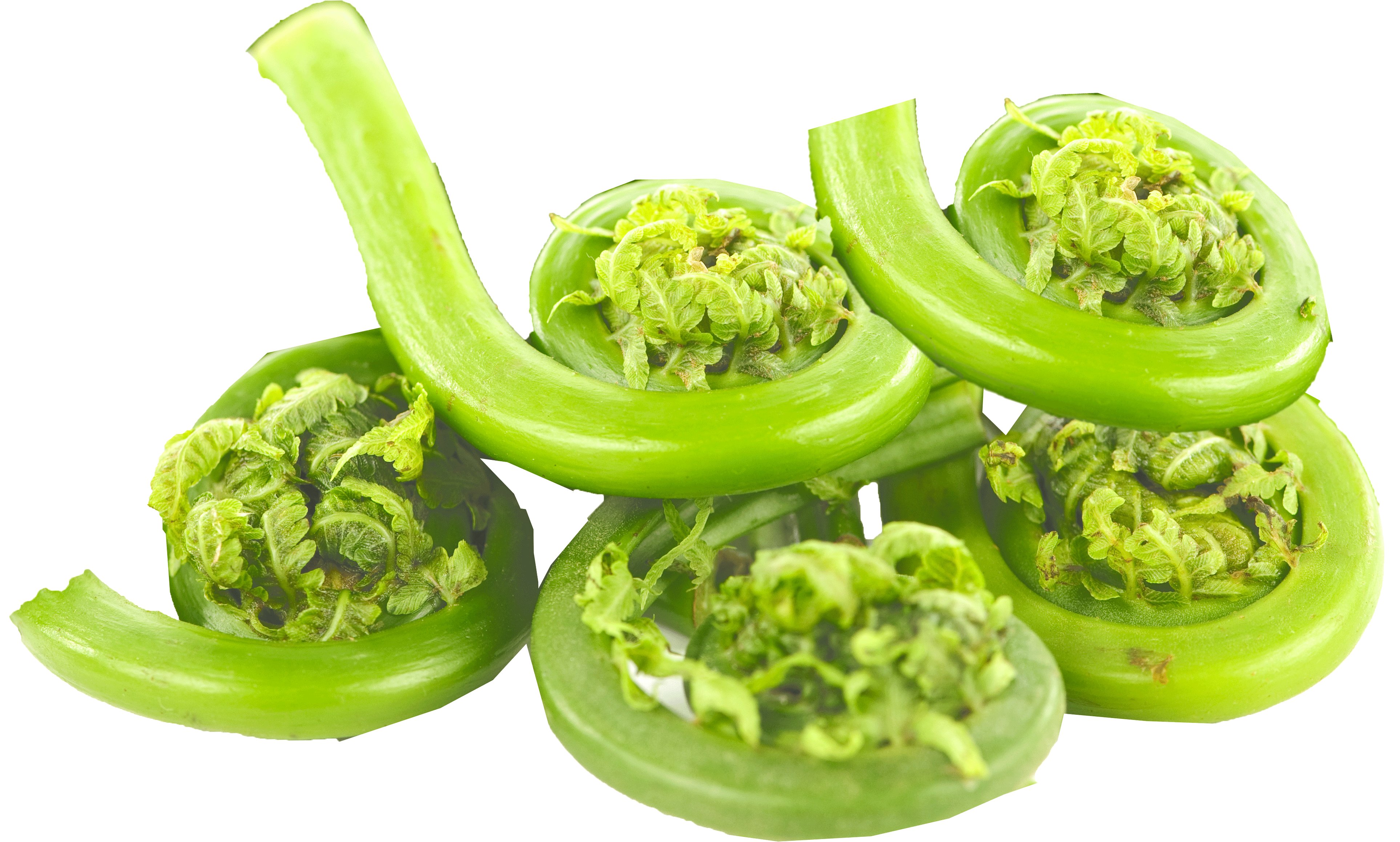 Fiddlehead Ferns - Shop Lettuce & leafy greens at H-E-B