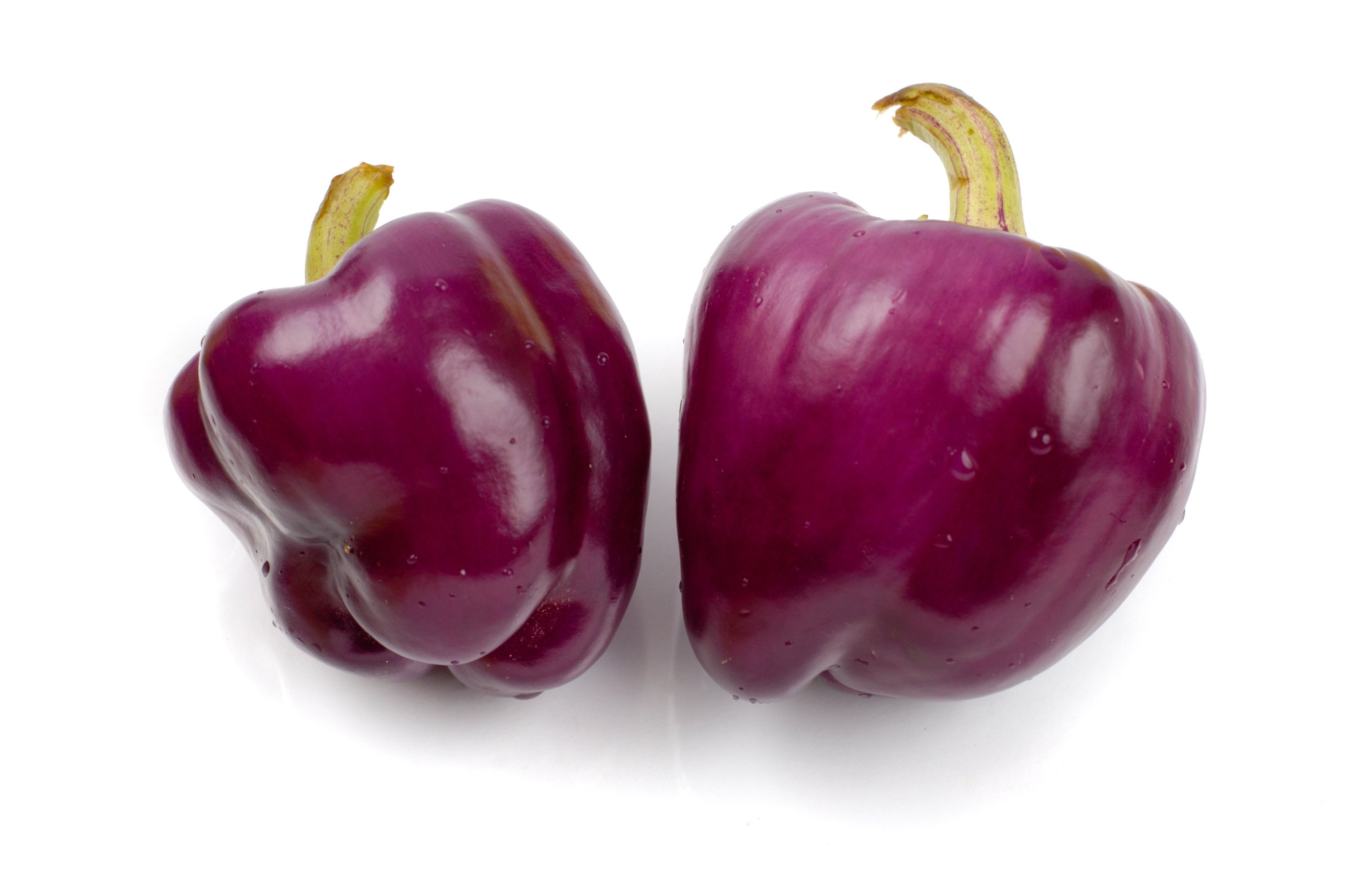 Purple Peppers