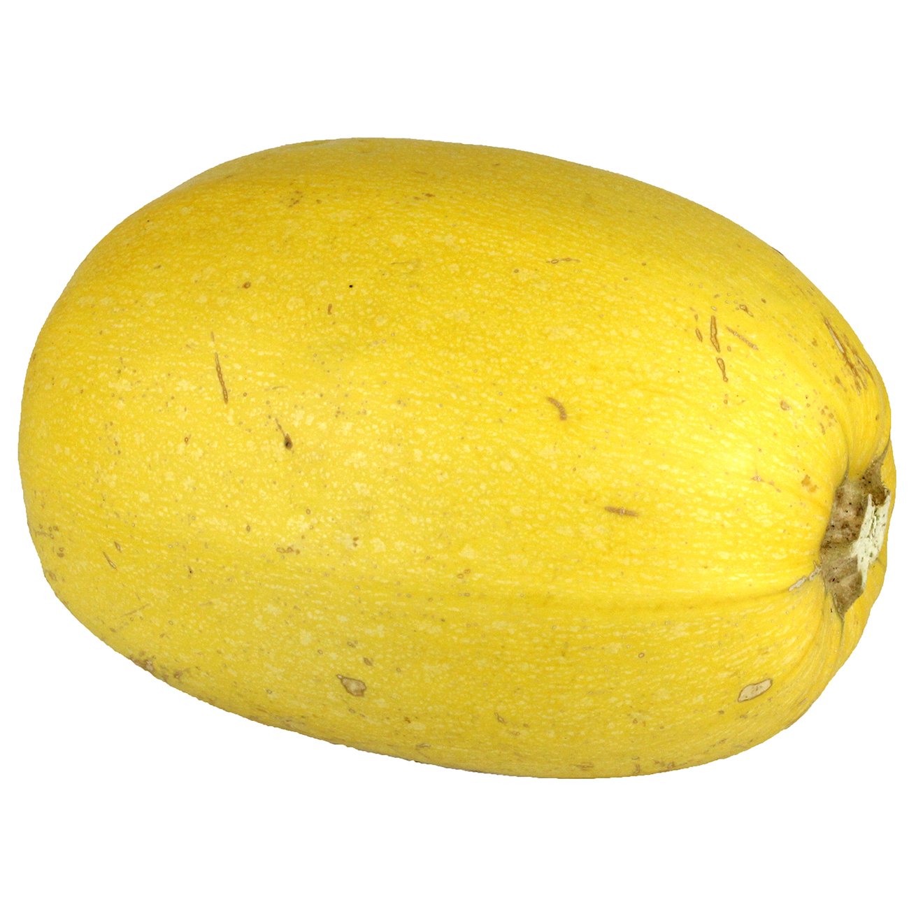 Organic Spaghetti Squash - Shop Squash & pumpkins at H-E-B