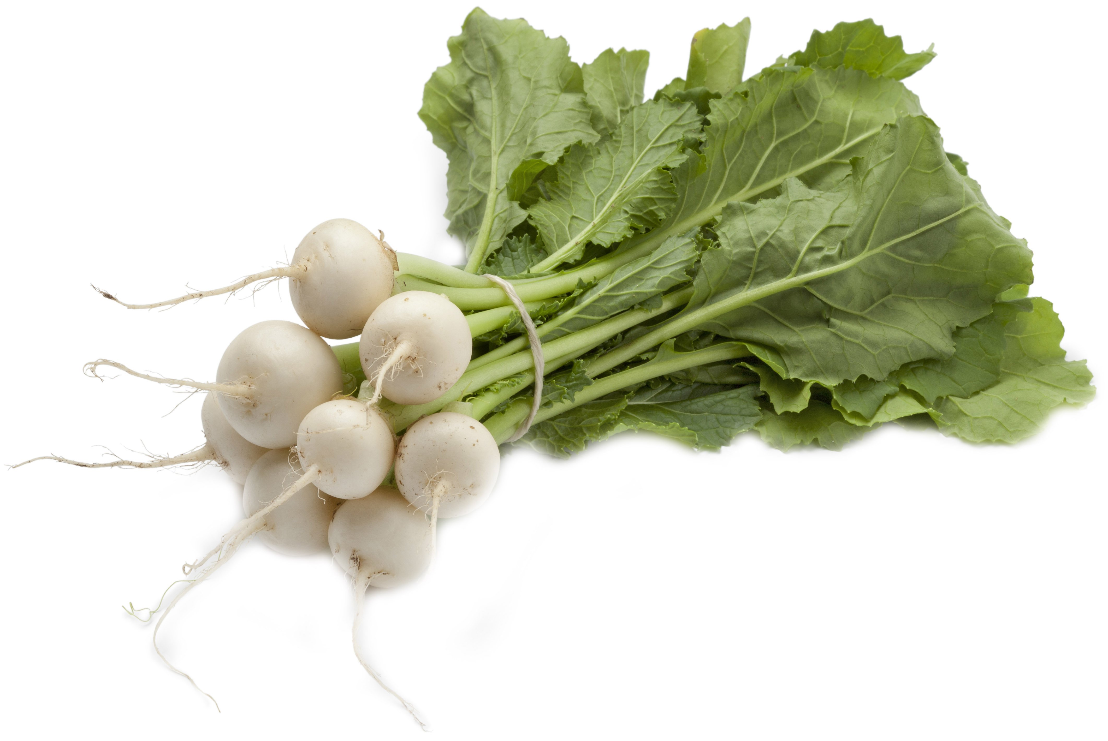 Fresh Organic White Turnips - Shop Vegetables at H-E-B