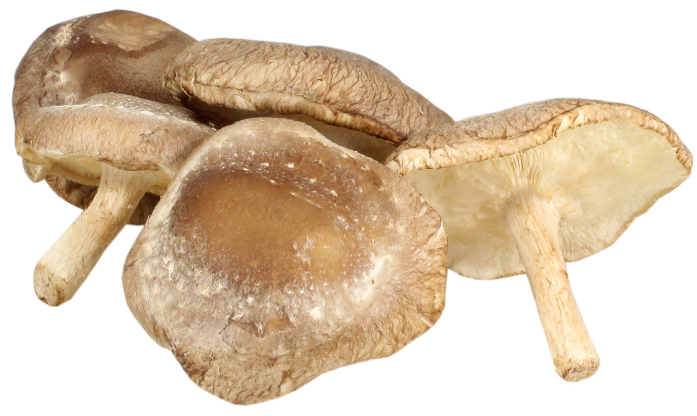 Organic Shiitake Mushrooms, lb | Central Market - Really Into Food