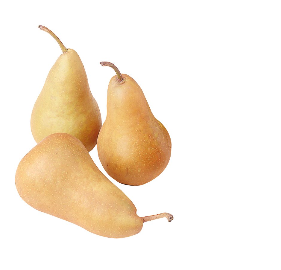 Fresh Abate Fetel Pears - Shop Fruit at H-E-B