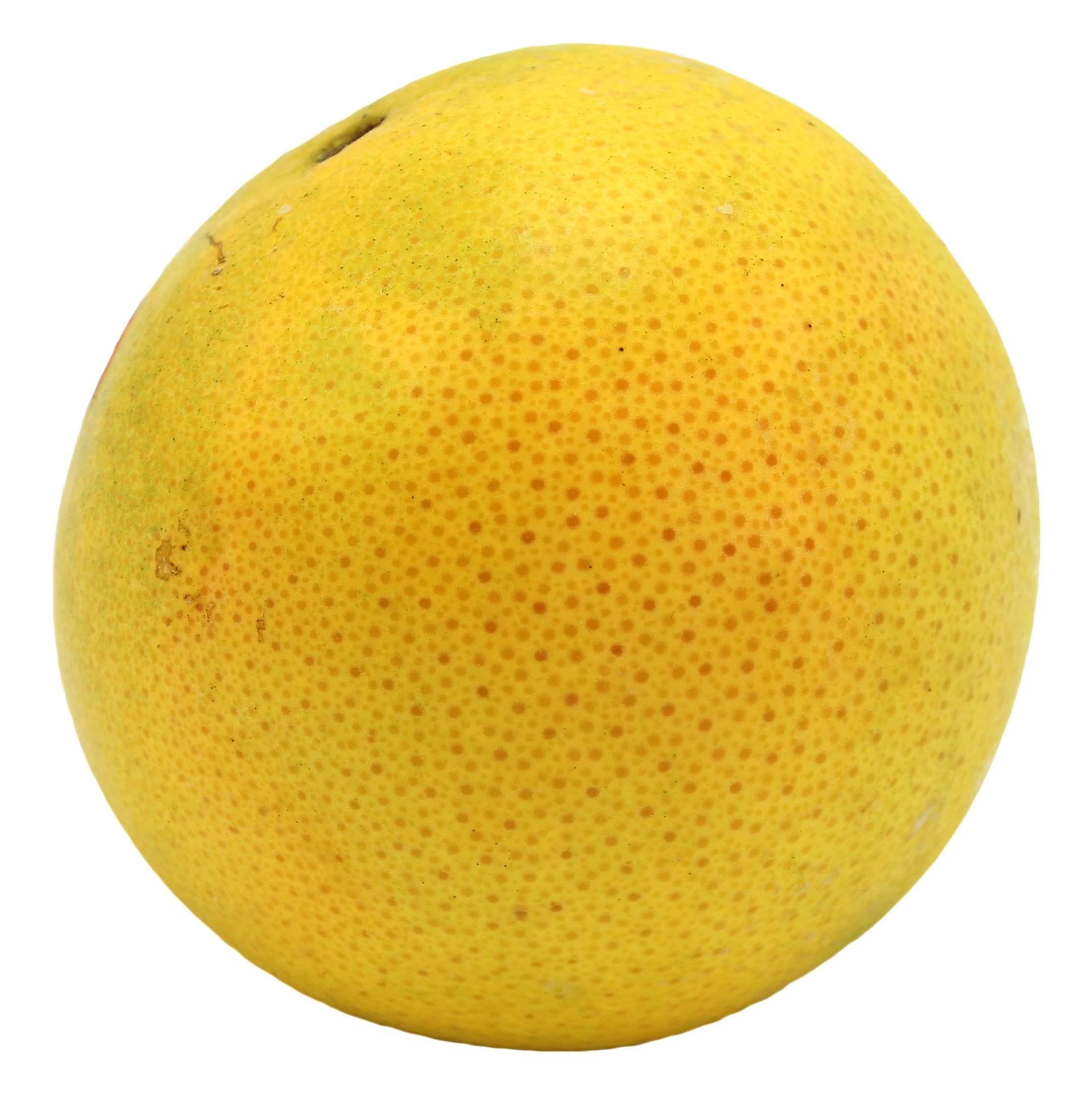 Large Red Florida Grapefruit | Central Market - Really Into Food