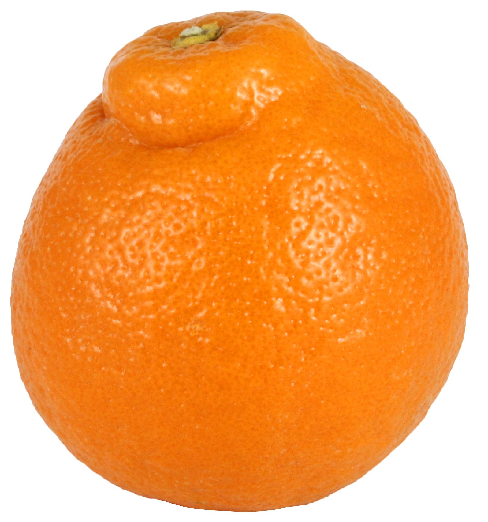 Nova Tangelo - Shop Citrus at H-E-B