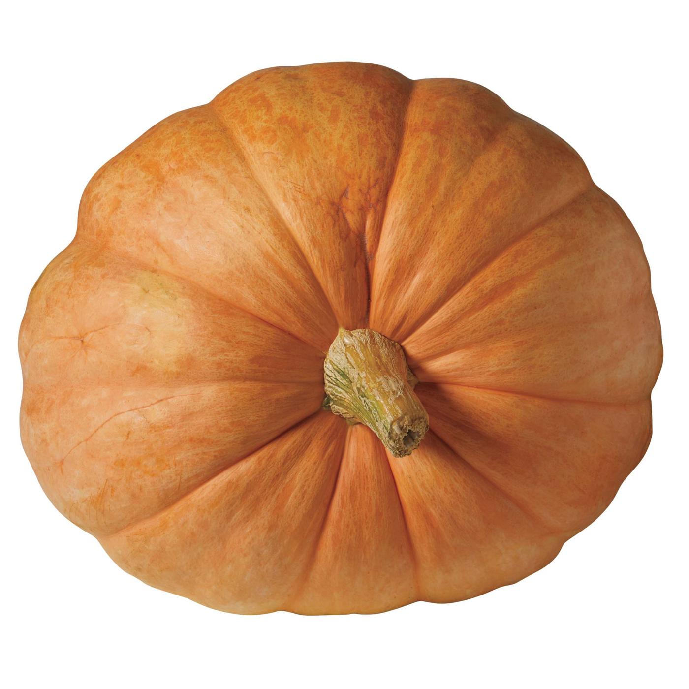H-E-B Texas Roots Giant Pumpkin - Shop Squash & pumpkins at H-E-B