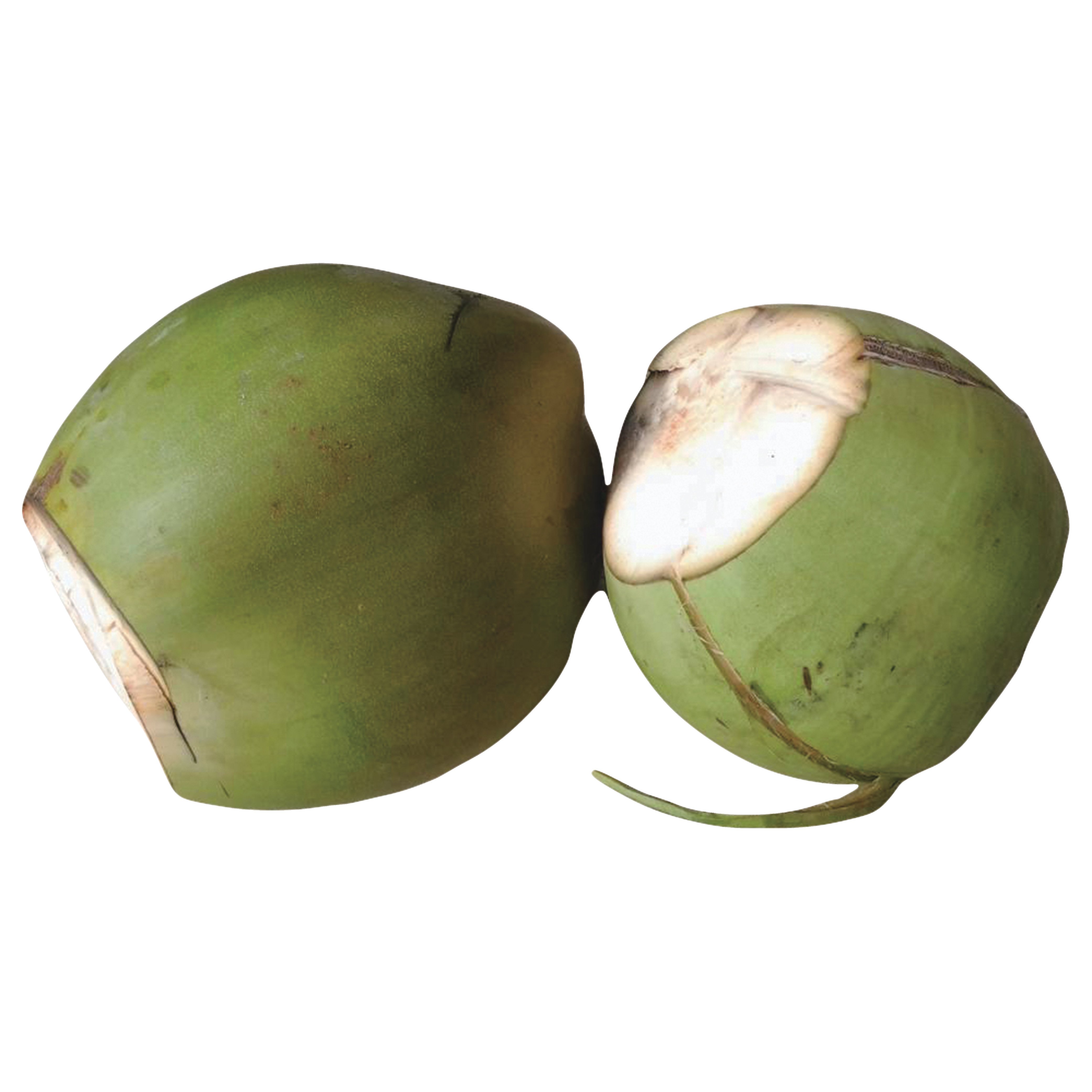 Fresh Green Coconuts - Shop Fruit at H-E-B