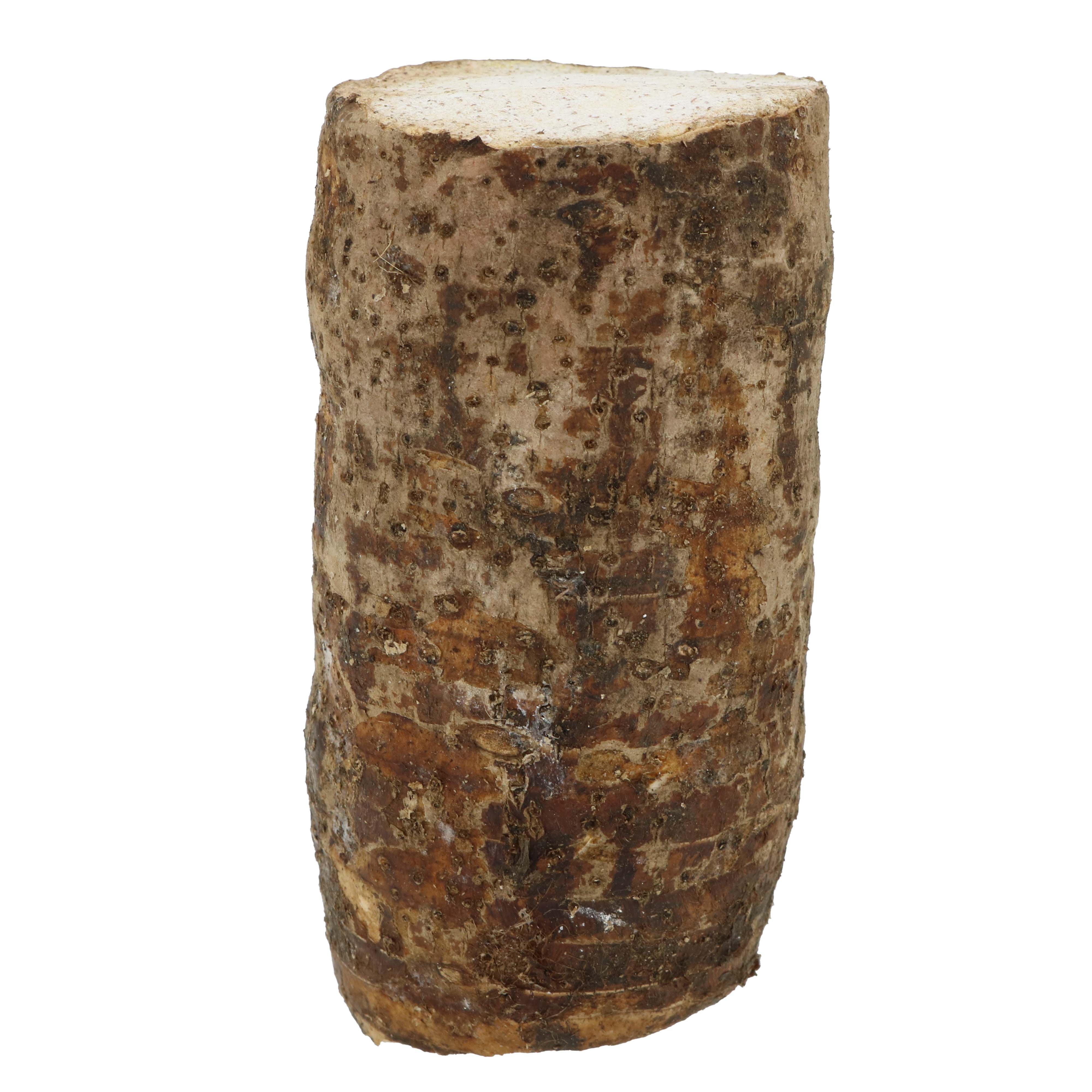 Fresh Malanga Coco Root | Low Prices & Quality Groceries - Joe V's