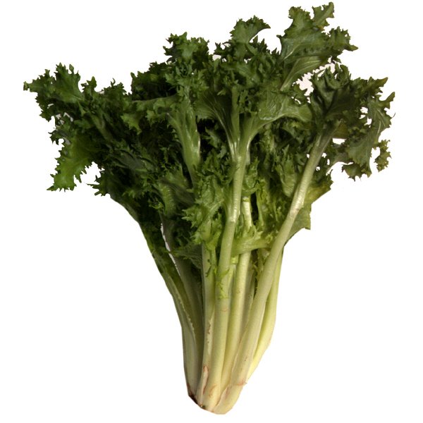 Fresh Organic Endive - Shop Lettuce & leafy greens at H-E-B