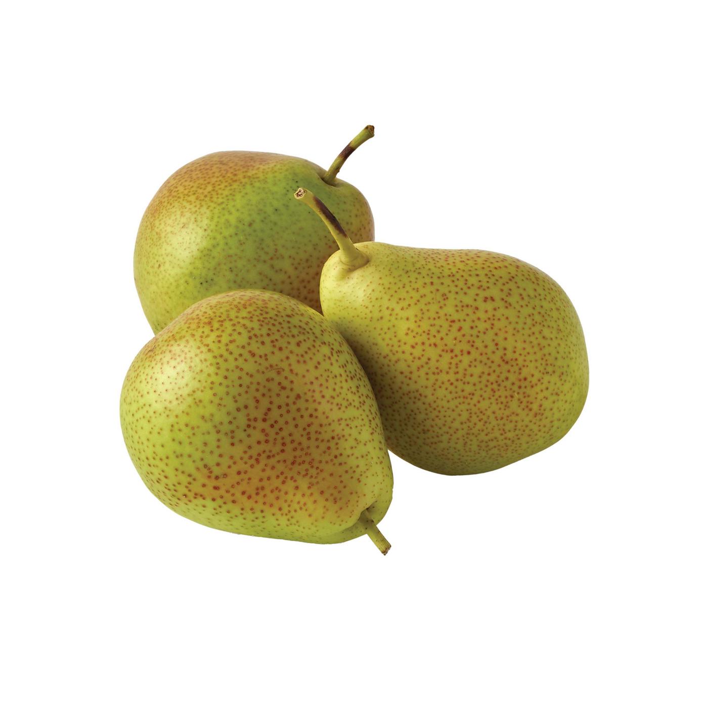 Fresh Forelle Pear - Shop Pears at H-E-B