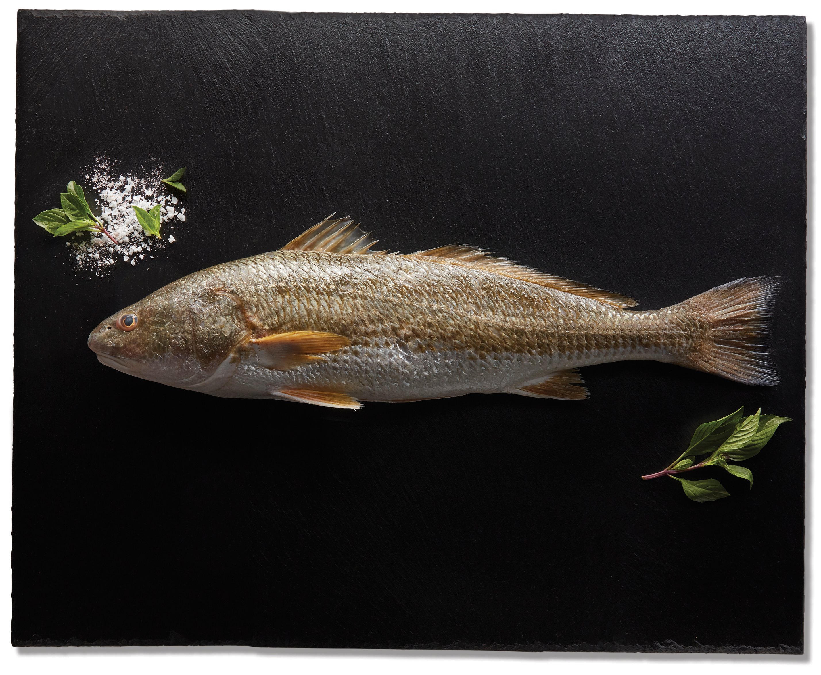 Fresh Responsibly Farmed Whole Redfish - Shop Seafood at H-E-B
