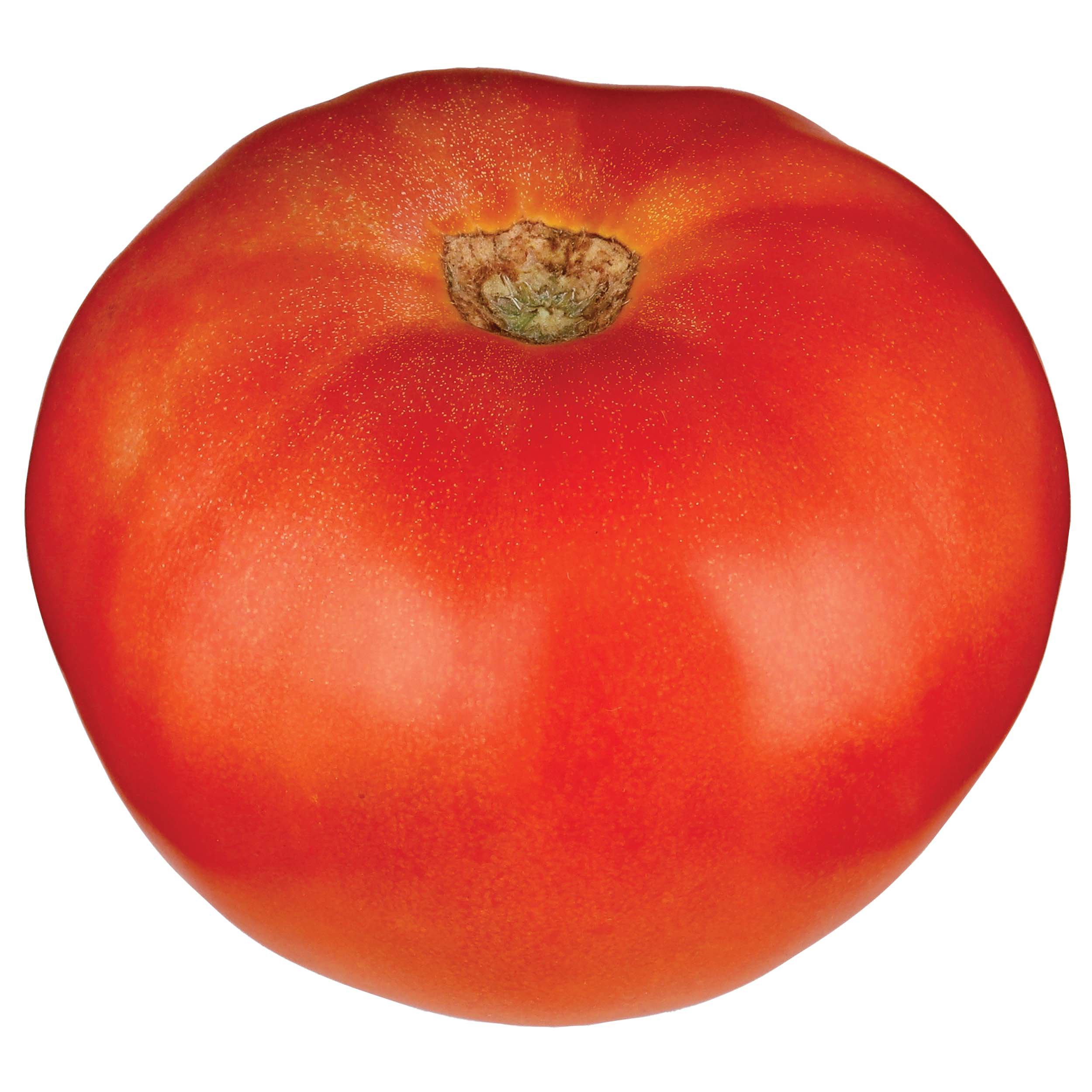 Fresh XL Vine Ripe Tomatoes - Shop Tomatoes at H-E-B