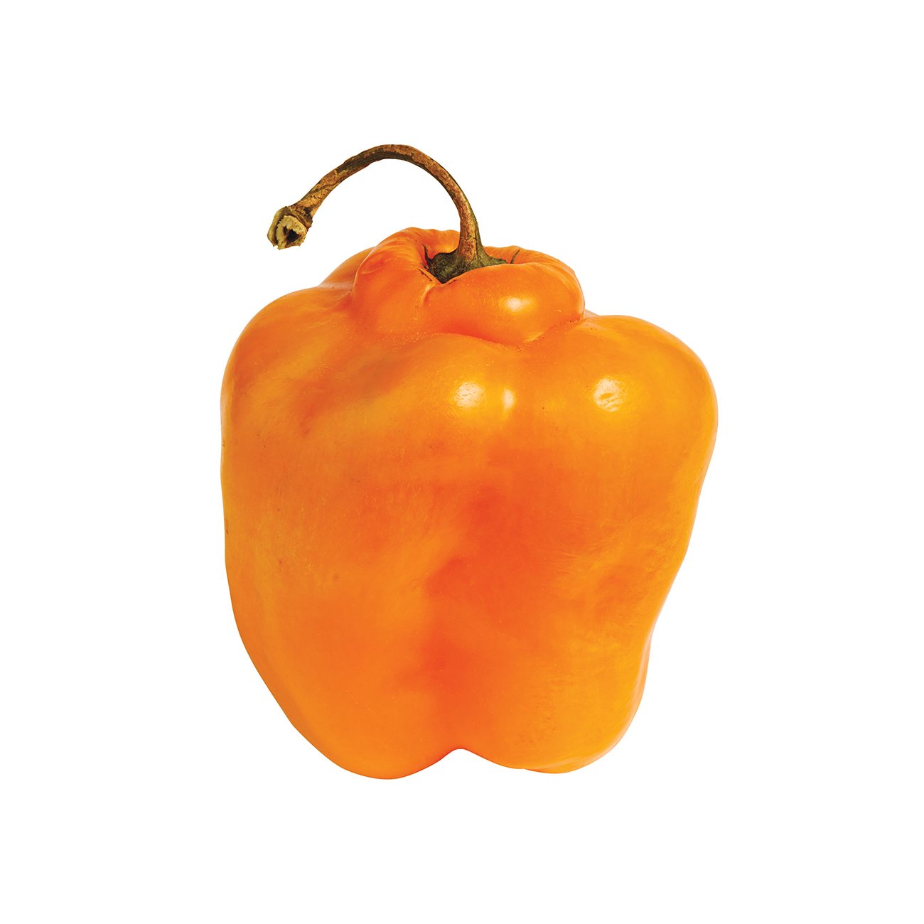 Fresh Manzano Chile Pepper - Shop Peppers at H-E-B