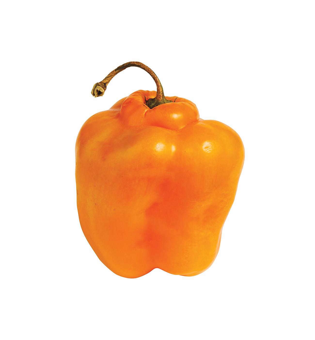 Fresh Manzano Chile Pepper - Shop Peppers at H-E-B