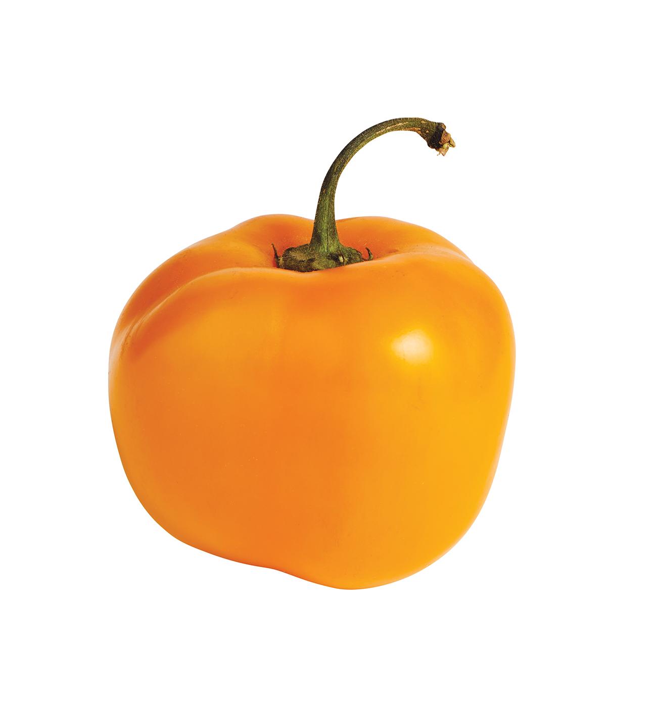 Fresh Manzano Chile Pepper - Shop Peppers at H-E-B