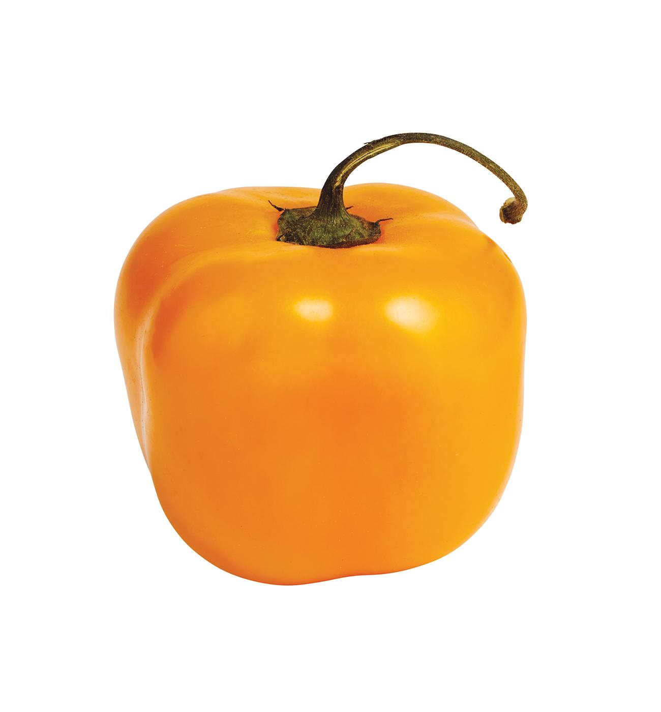 Fresh Manzano Chile Pepper - Shop Peppers at H-E-B