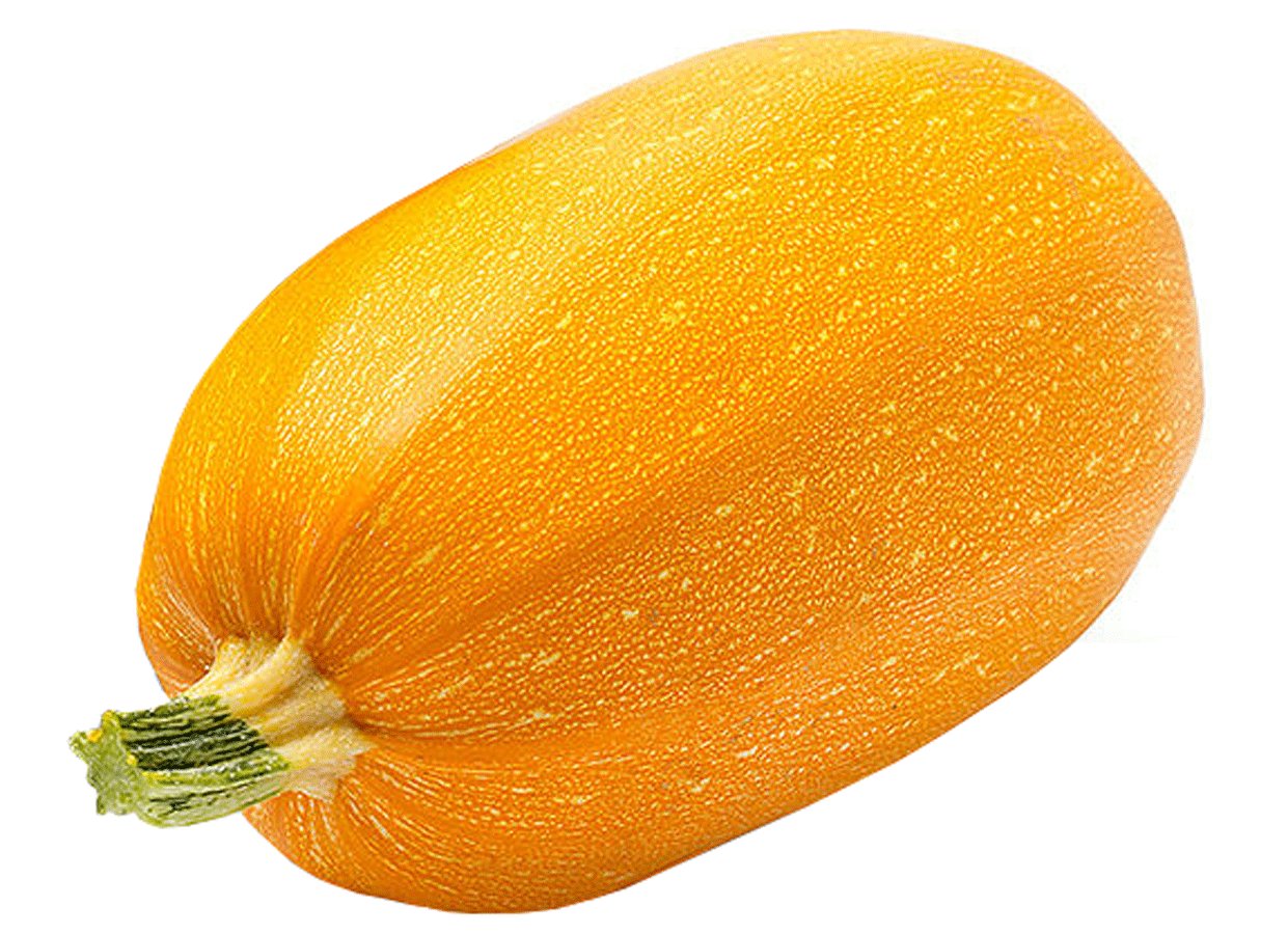 Fresh Orangetti Squash - Shop Squash & pumpkins at H-E-B