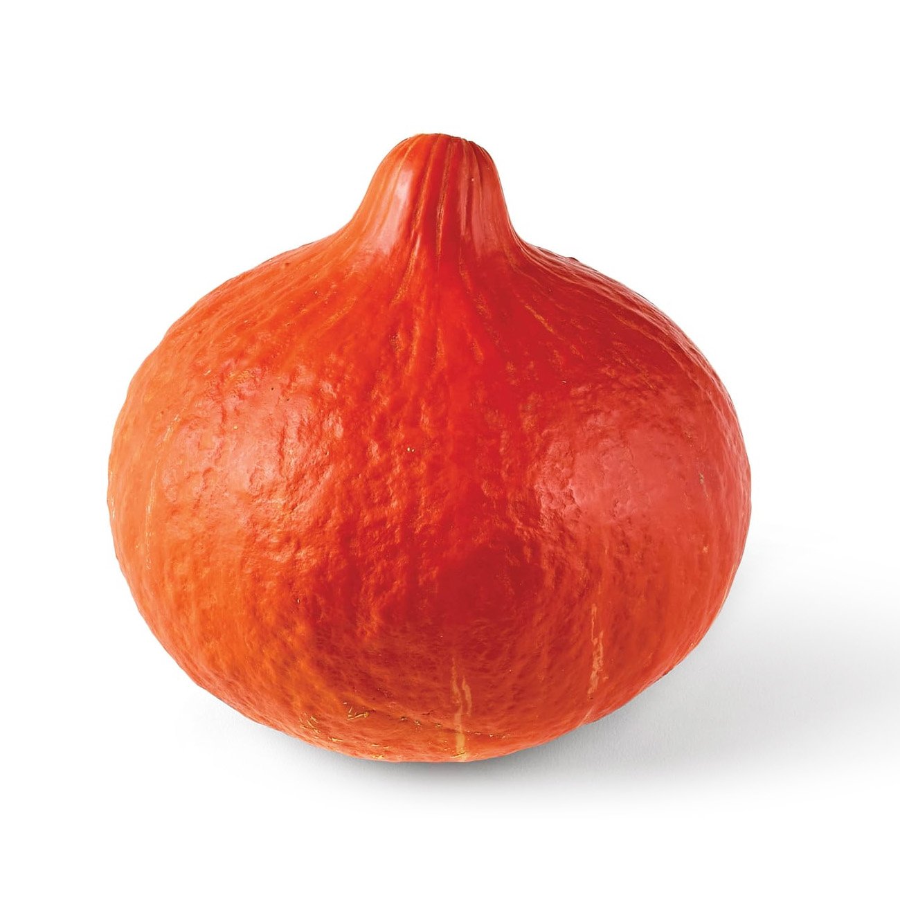 Red Kuri Squash - Shop Squash & pumpkins at H-E-B