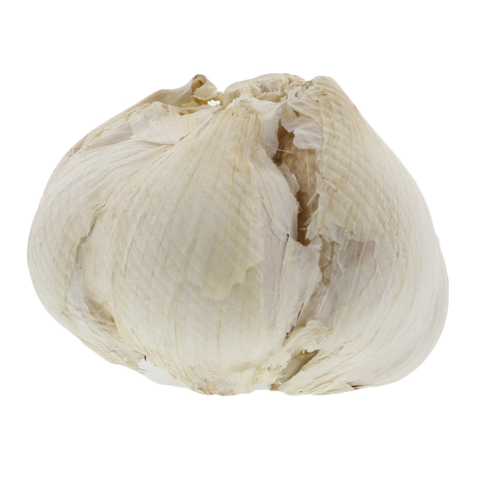 Fresh Elephant Garlic - Shop Vegetables at H-E-B