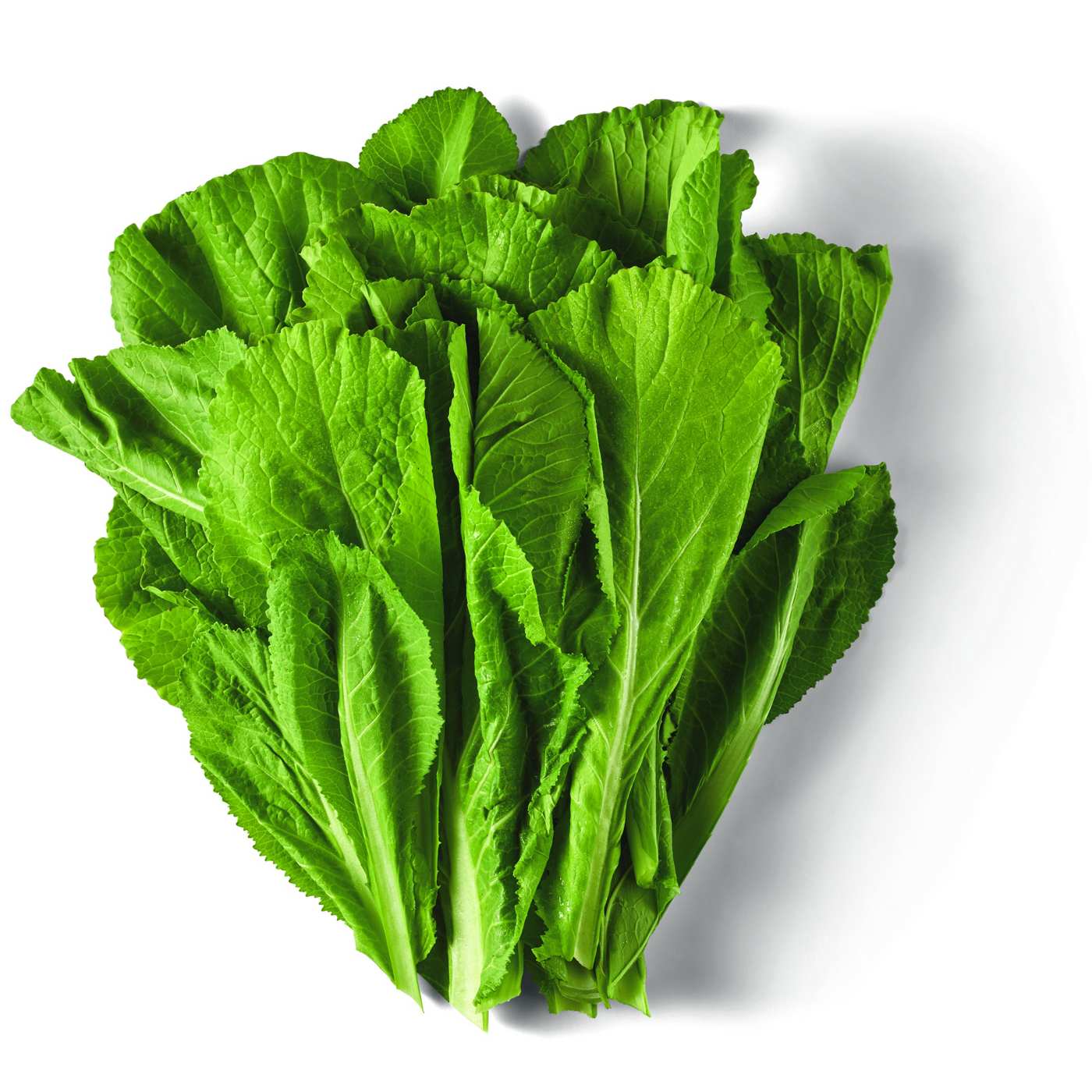 H-E-B Texas Roots Fresh Straight Leaf Mustard Greens - Shop Lettuce ...