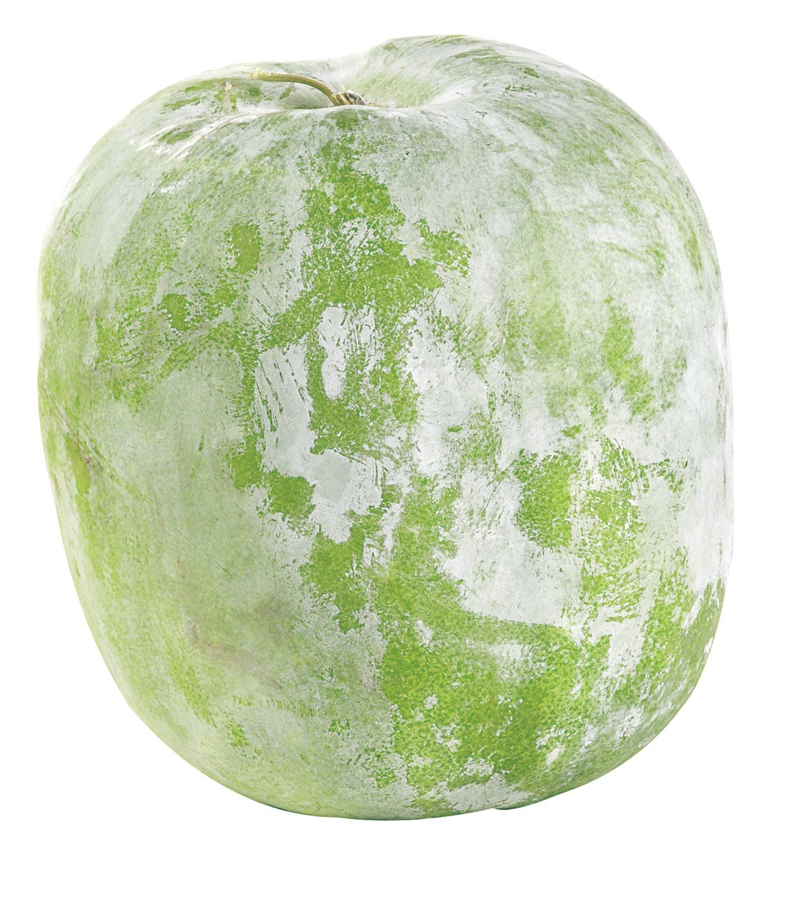 Fresh Winter Melon - Shop Specialty & Asian at H-E-B