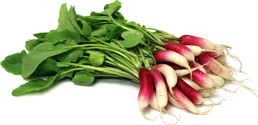 French Breakfast Radish - Shop Potatoes & carrots at H-E-B