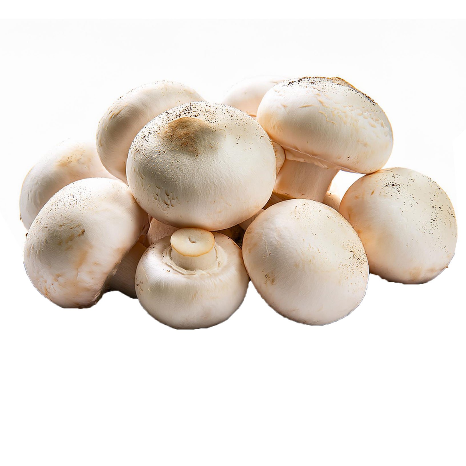 Fresh Small Whole White Button Mushrooms - Shop Mushrooms at H-E-B