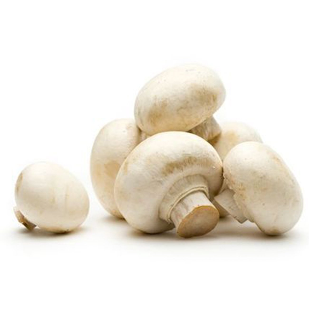 Fresh Large Mushrooms - Shop Mushrooms at H-E-B