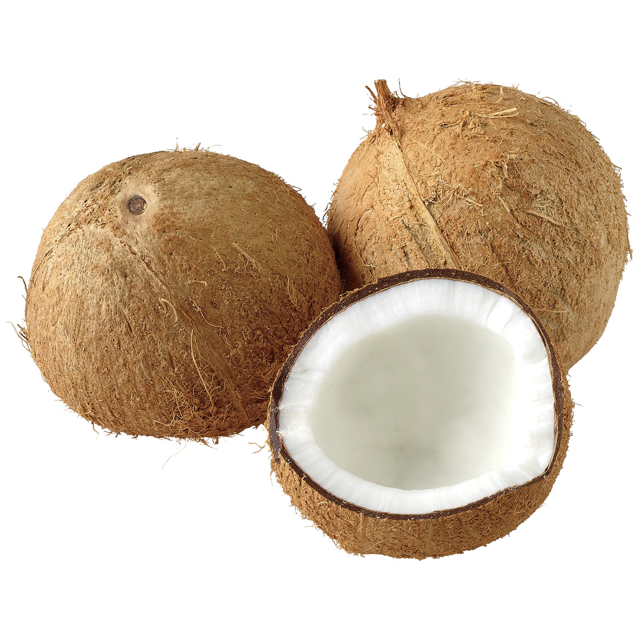 Fresh Brown Coconut, Each | Central Market - Really Into Food