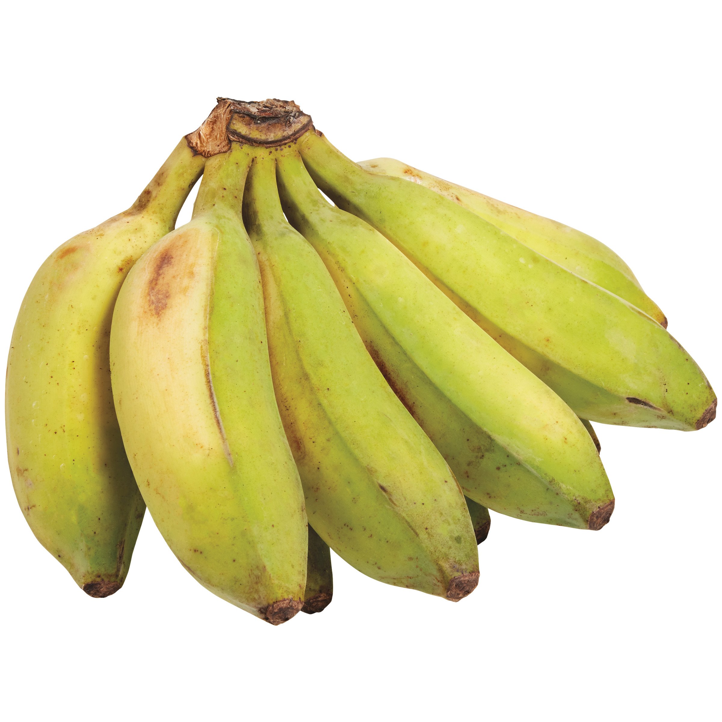 Fresh Bunch of Burros Bananas - Shop Bananas at H-E-B
