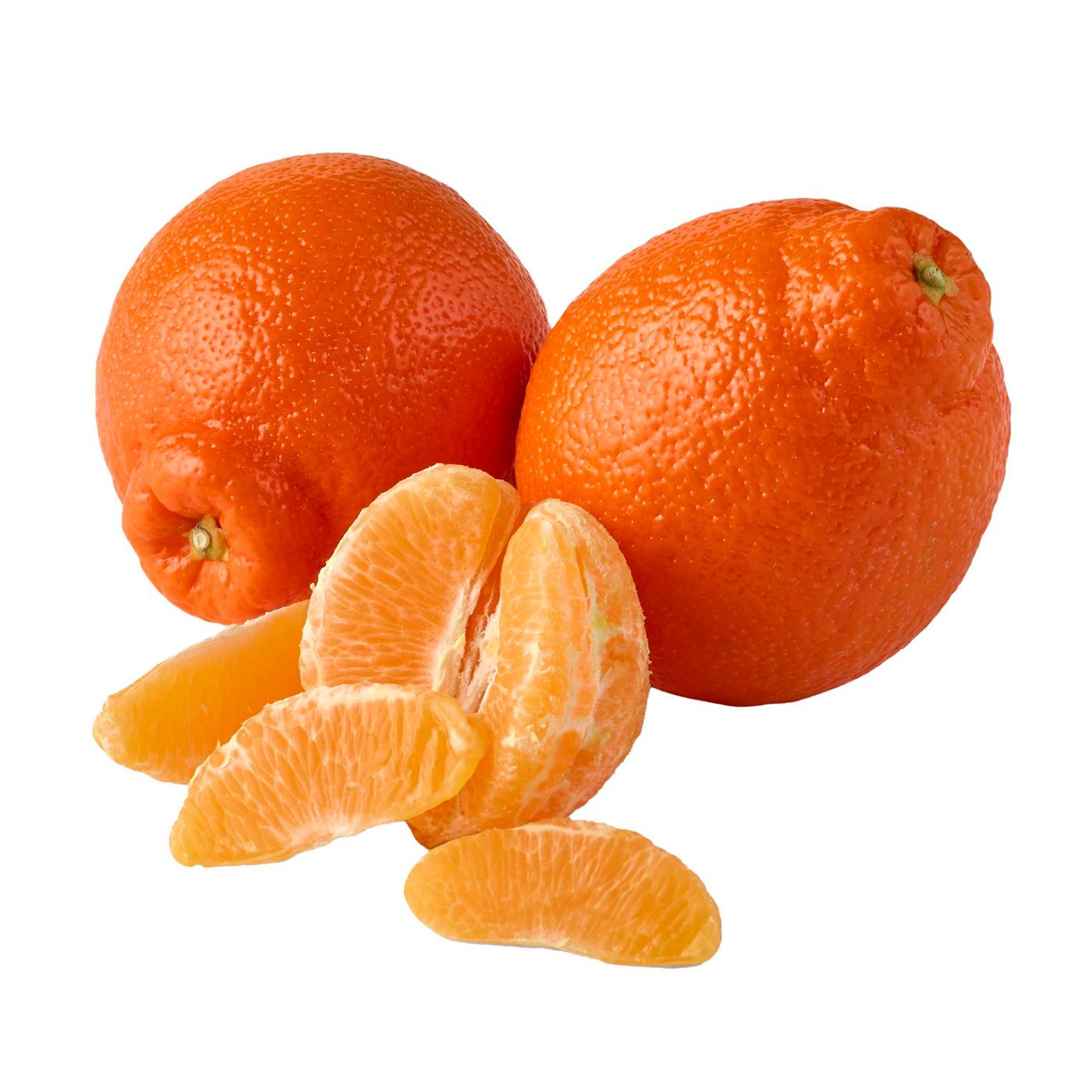 Fresh Minneola Tangelo - Shop Citrus at H-E-B