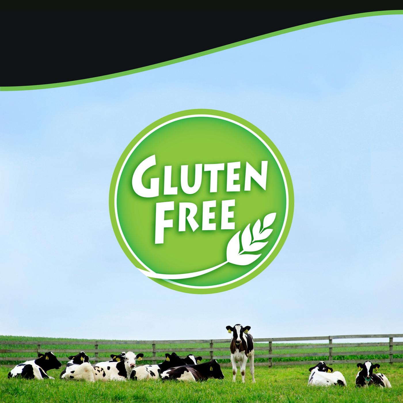 Breyers Chocolate Ice Cream - Shop Ice cream at H-E-B