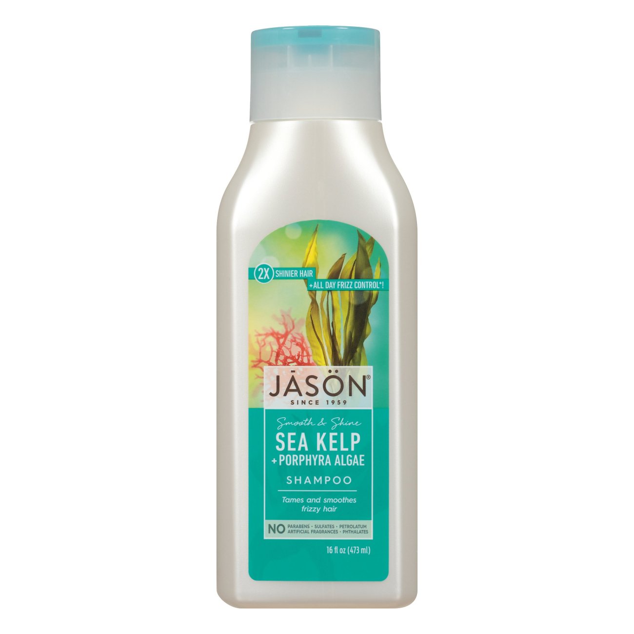 Jason Smoothing Sea Kelp Shampoo - Shop Shampoo & conditioner at H-E-B
