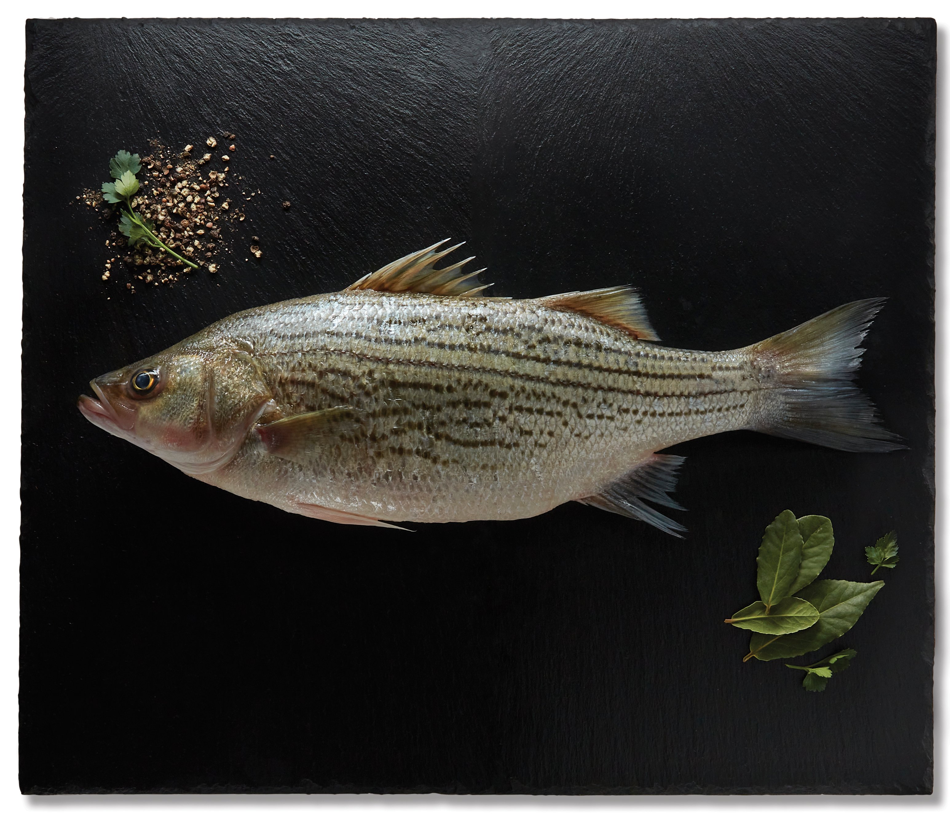 Fresh Responsibly Farmed Whole Striped Bass - Shop Seafood at H-E-B